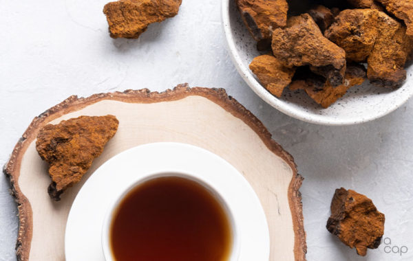 What Is Chaga? Chaga Mushroom Benefits, Uses, and Products