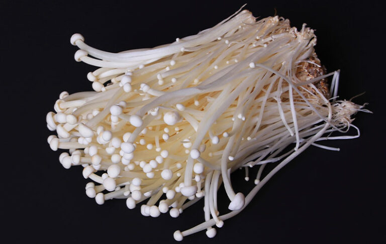 What Are Enoki Mushrooms?