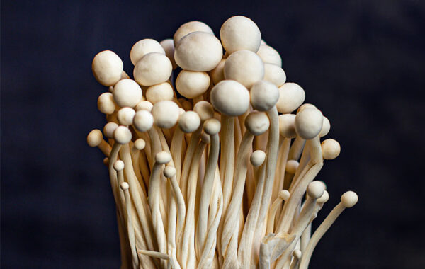 What Are Enoki Mushrooms?